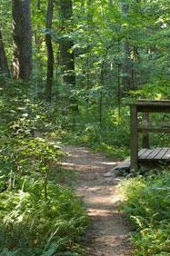 Fred Crabtree – MORE-MTB