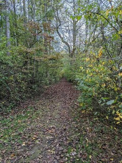 Windy Ridge – MORE-MTB